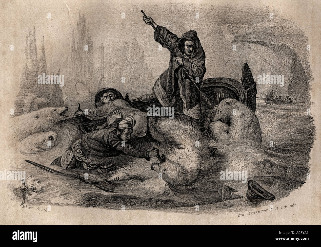 Polar Bear Hunting Stock Photo - Alamy