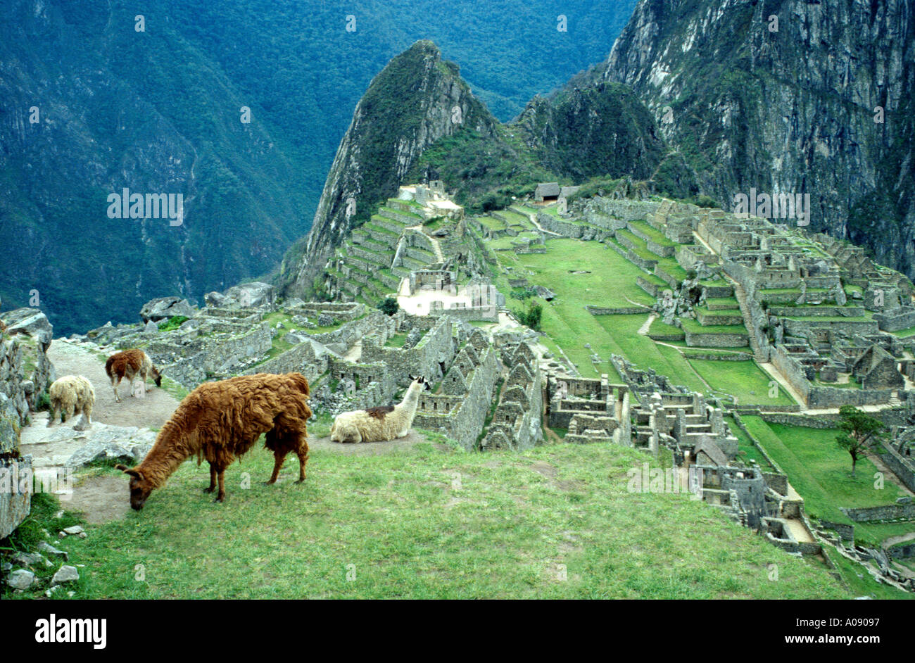 The Ancient Lost Inca City, Machu Picchu, Peru, South America Stock ...