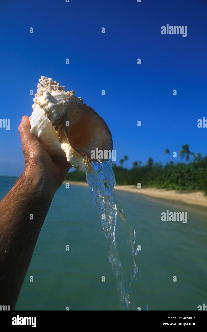 Seashell pouring Caribbean water Stock Photo - Alamy