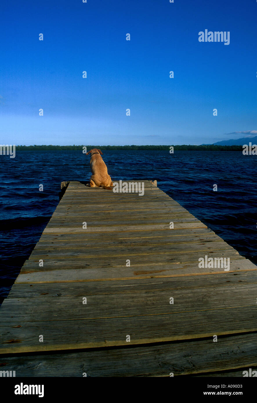 Return to the blue lagoon hi-res stock photography and images - Alamy