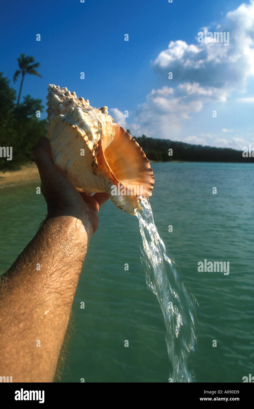 Seashell pouring water in Puerto Rico Stock Photo - Alamy