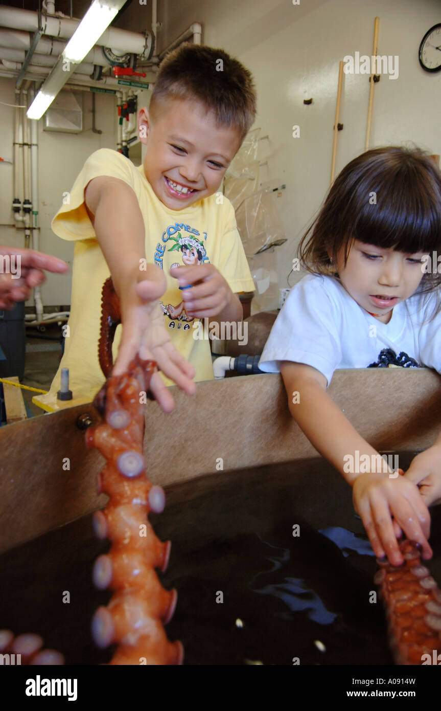 Touch pool aquarium hi-res stock photography and images - Alamy