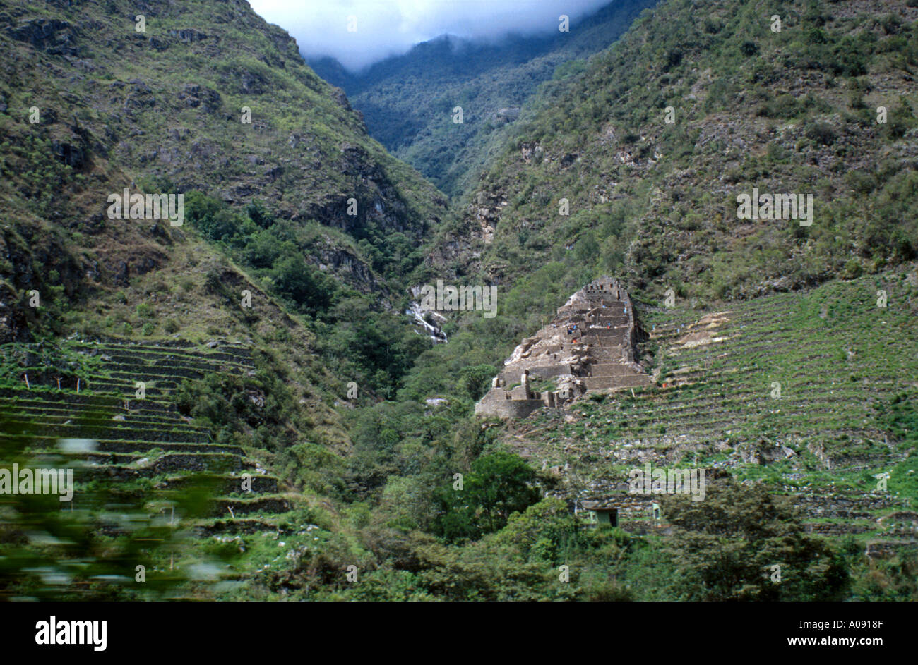 Inca terraces, Machu Picchu, Peru, South America Stock Photo - Alamy