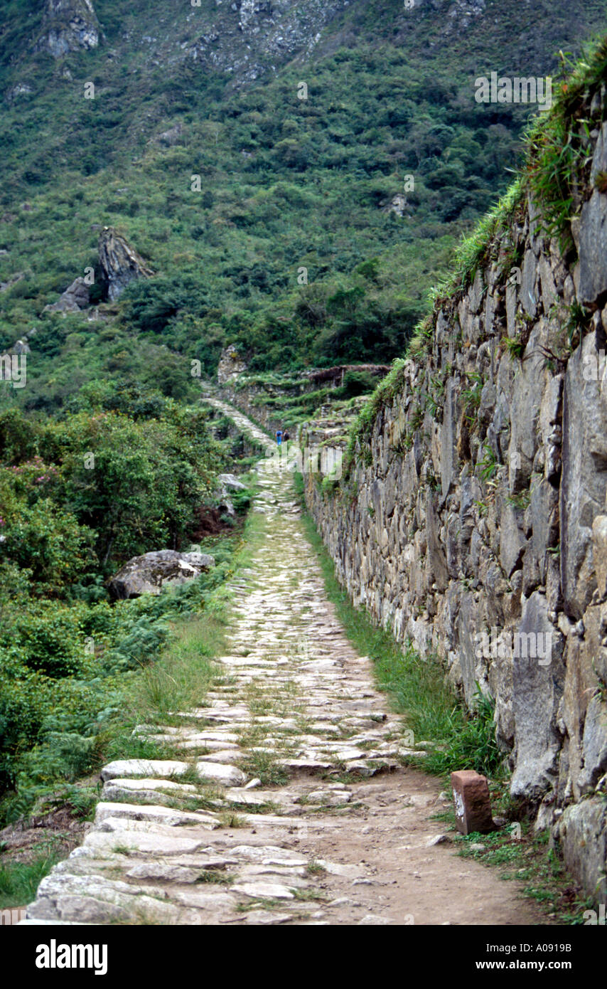 The Inca Trail, Machu Picchu, Peru, South America Stock Photo - Alamy