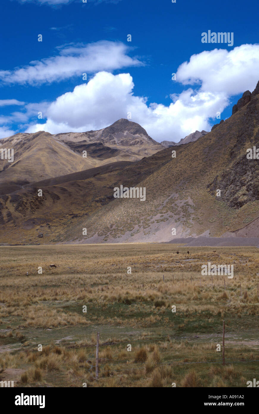 Meseta de Colleo, Peru, South America Stock Photo - Alamy