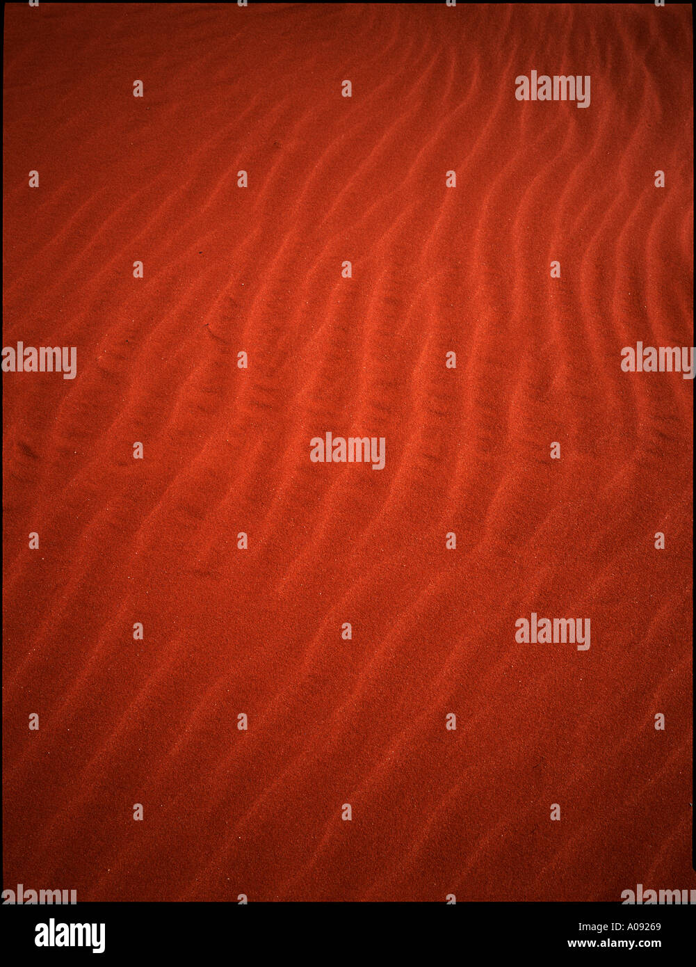 ripples in red sand ,outback australia Stock Photo - Alamy