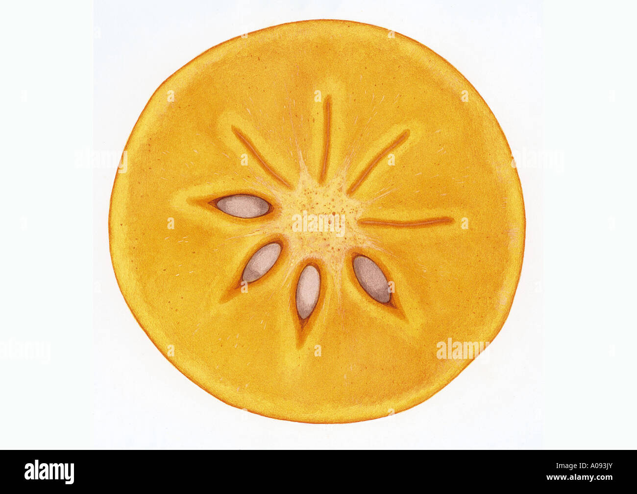 Cross jpg Cut Out Stock Images & Pictures - Alamy