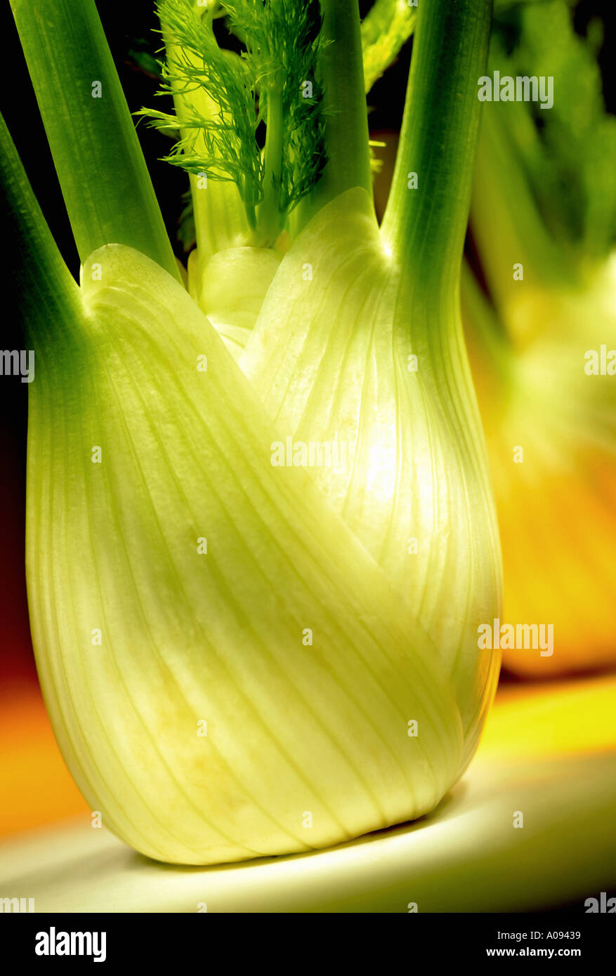 Food - Fennel Stock Photo - Alamy