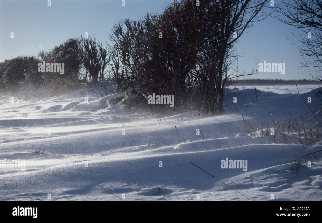 Snowfall wind hi-res stock photography and images - Alamy