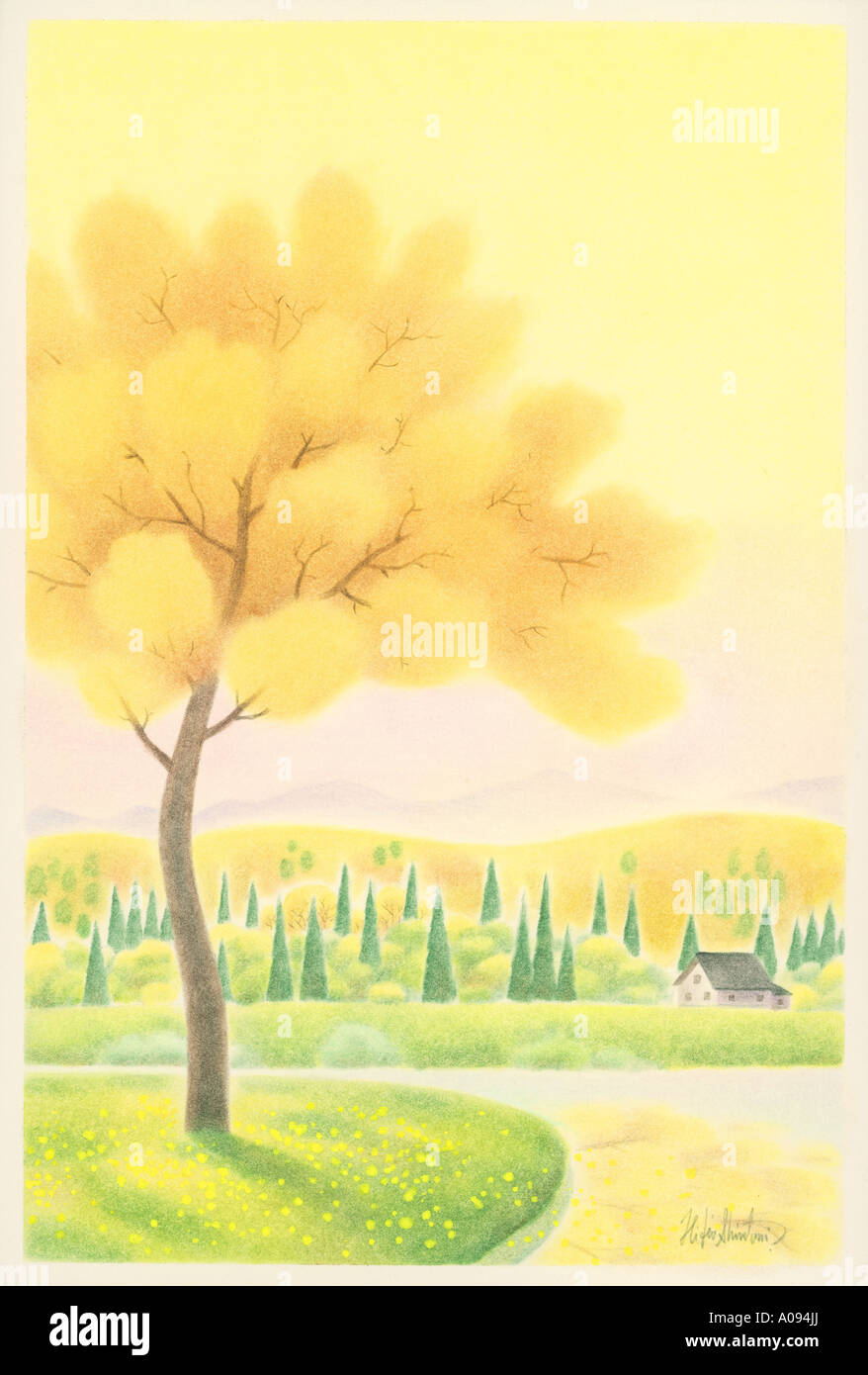 Illustration of a Tree in Autumn Stock Photo - Alamy