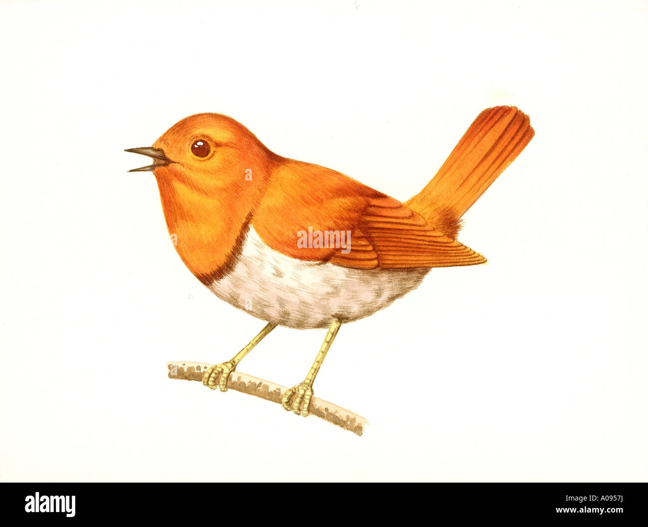 001v53 hi-res stock photography and images - Alamy