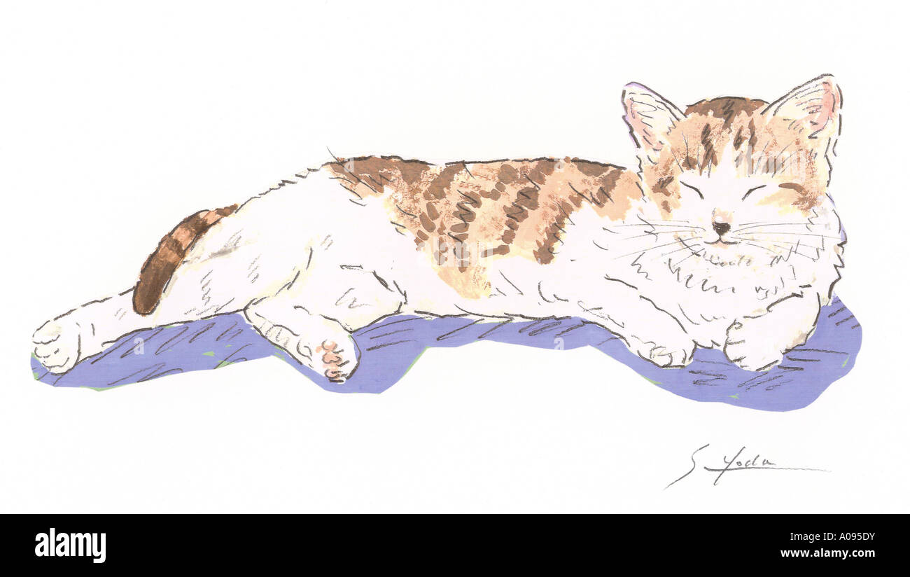 An illustration of a cat Stock Photo - Alamy