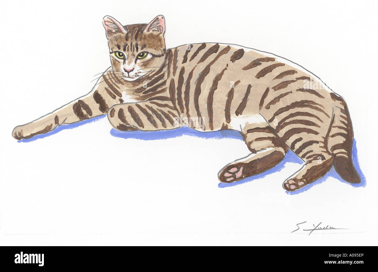 An illustration of a cat Stock Photo - Alamy