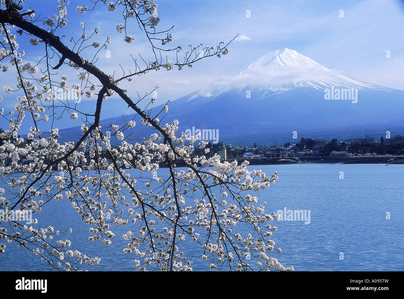 Lake Kawaguchi Mt Fuji Yamanashi ken Japan Stock Photo - Alamy