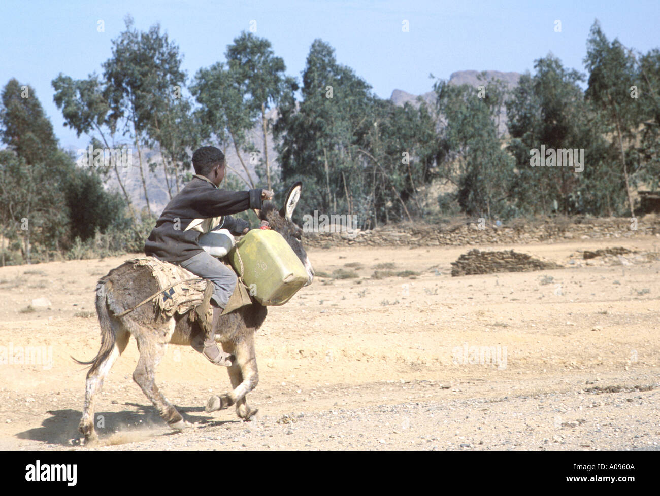 Eritrean boy hi-res stock photography and images - Alamy