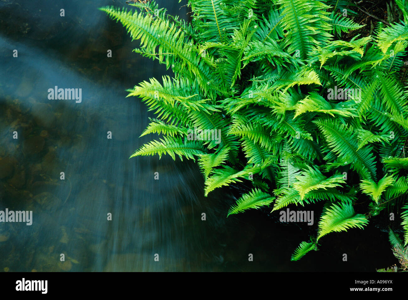 High speed water flow over hi-res stock photography and images - Alamy