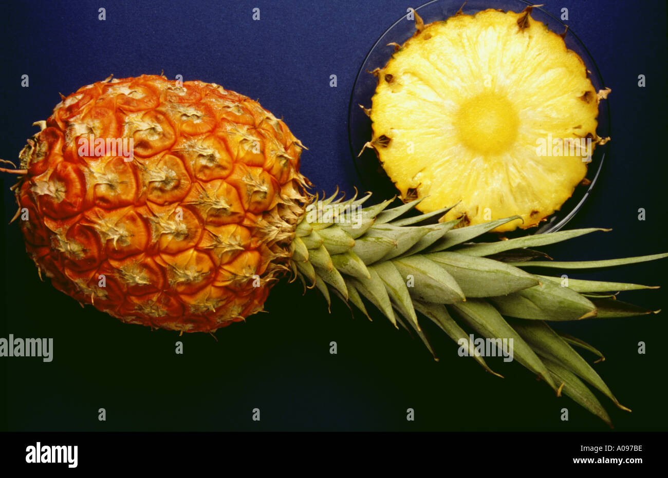 pineapple ananas comosus tropical fruit exotic fresh Stock Photo - Alamy