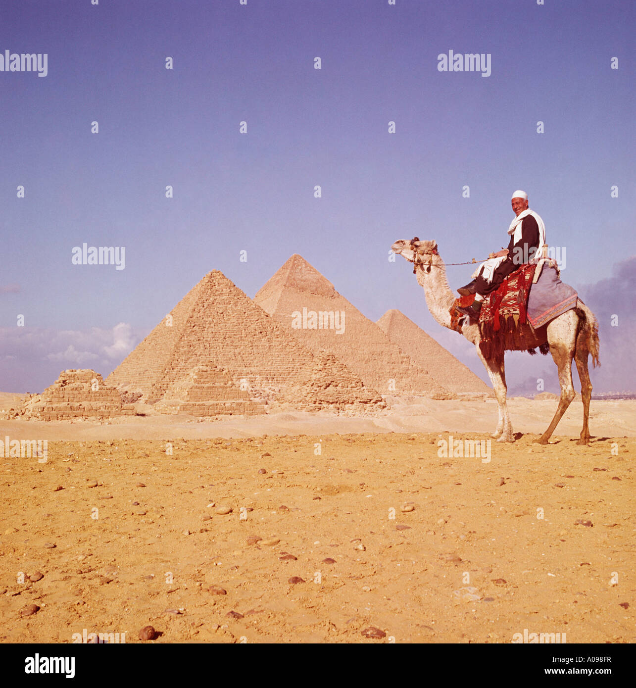 Egypt Camel and Guide at the Pyramids Cairo North Africa Stock Photo ...