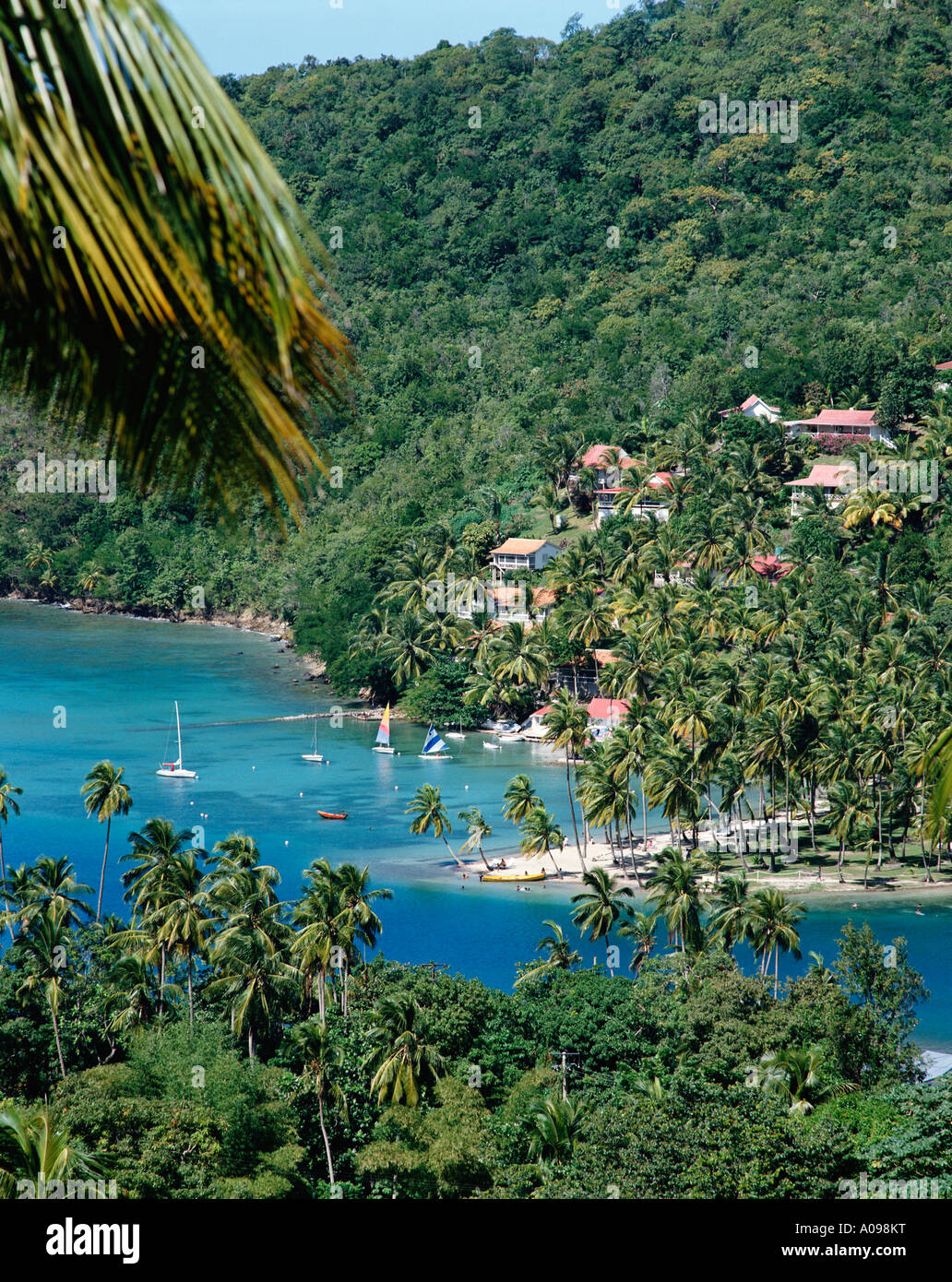 Marigot Bay, St Lucia, Caribbean, West Indies Stock Photo - Alamy