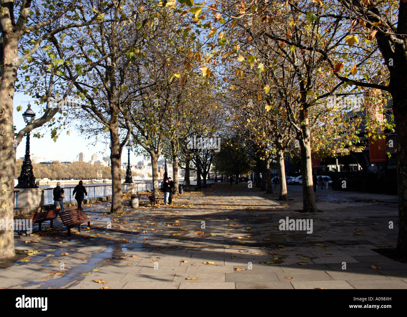 South Bank Promenade Autumn London Stock Photo - Alamy