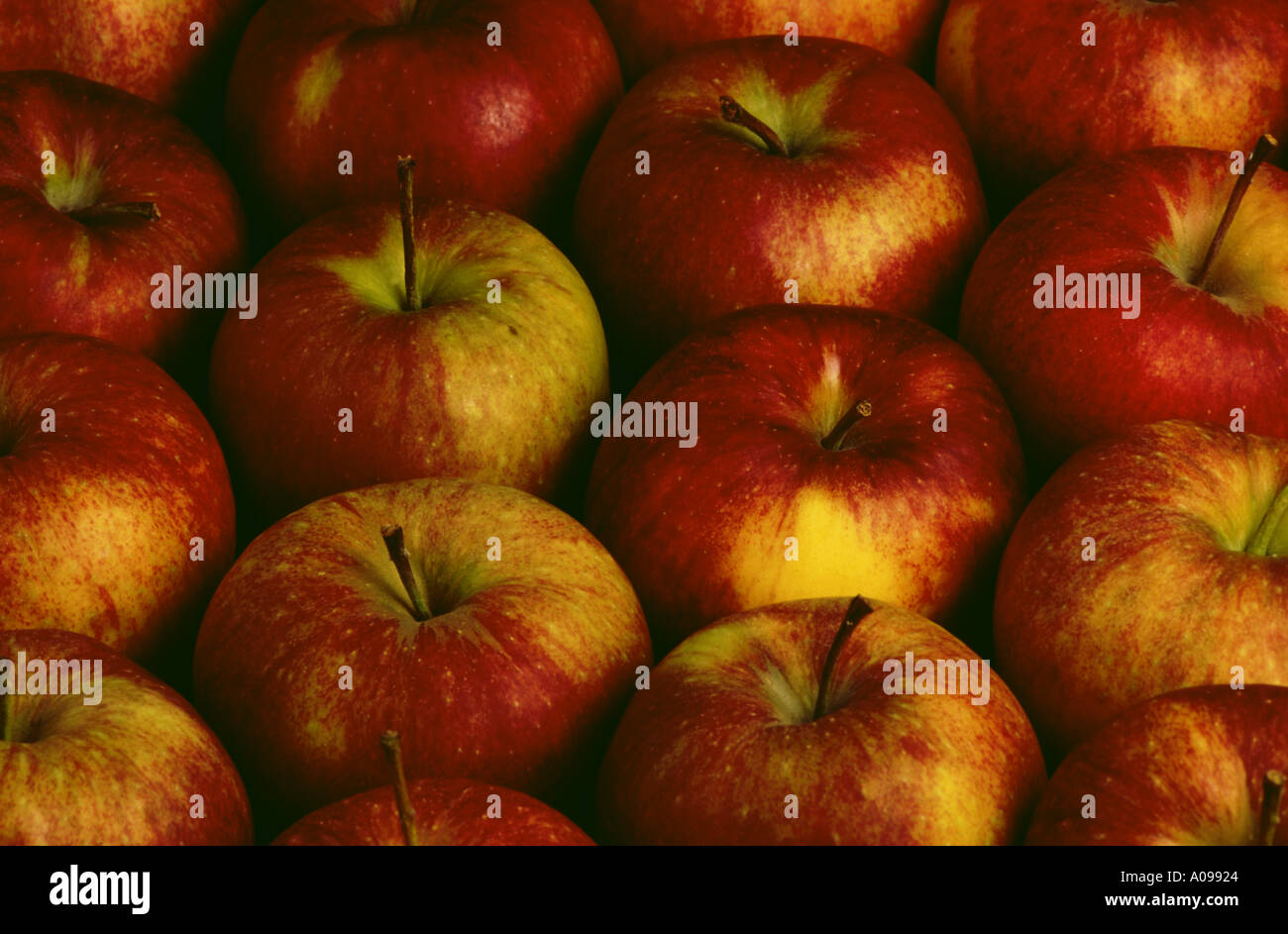 red apples fresh fruits Stock Photo - Alamy