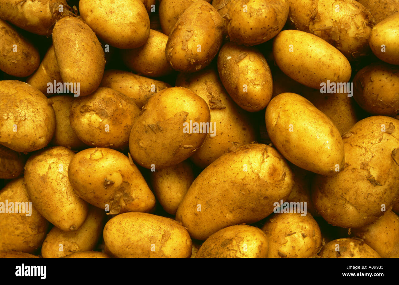 Potatoes Potato harvest Stock Photo - Alamy