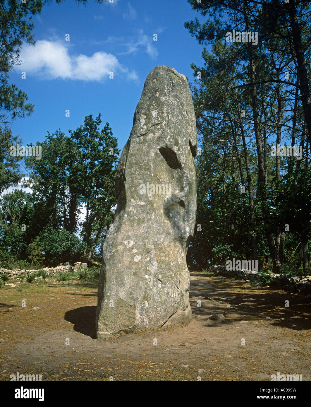 Geant de Manio 6 5 metre menhir in a forest clearing 3 km NE of Carnac ...