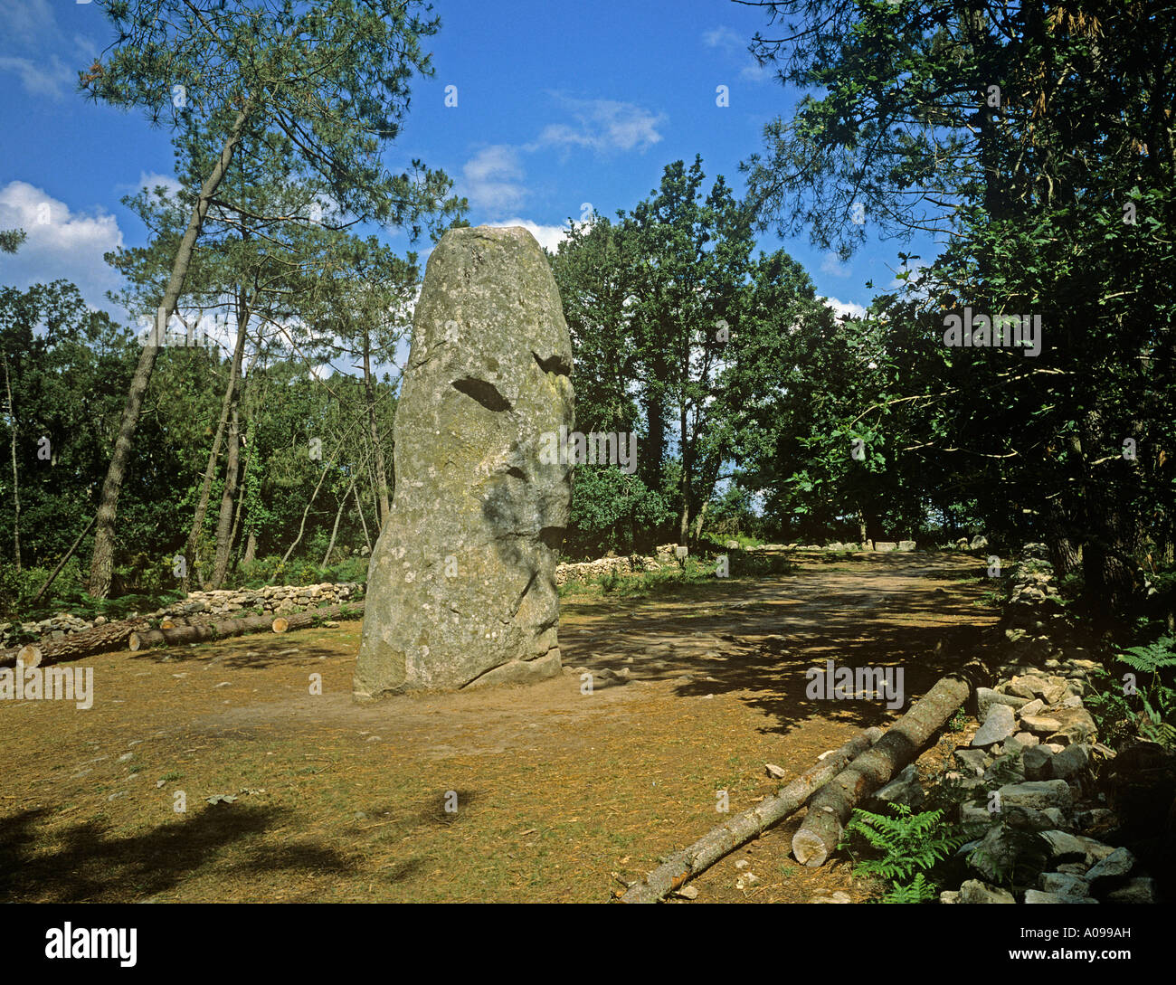 Geant de Manio 6 5 metre menhir in a forest clearing 3 km NE of Carnac ...