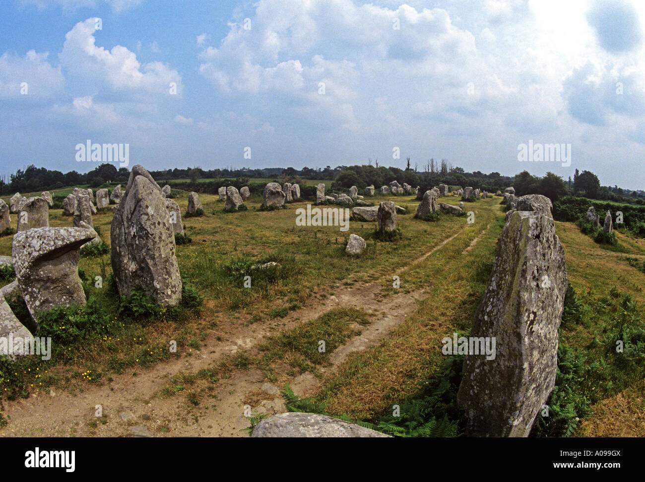Kerzerho Stone Rows 10 rows of stones near Erdeven NW of Carnac town ...