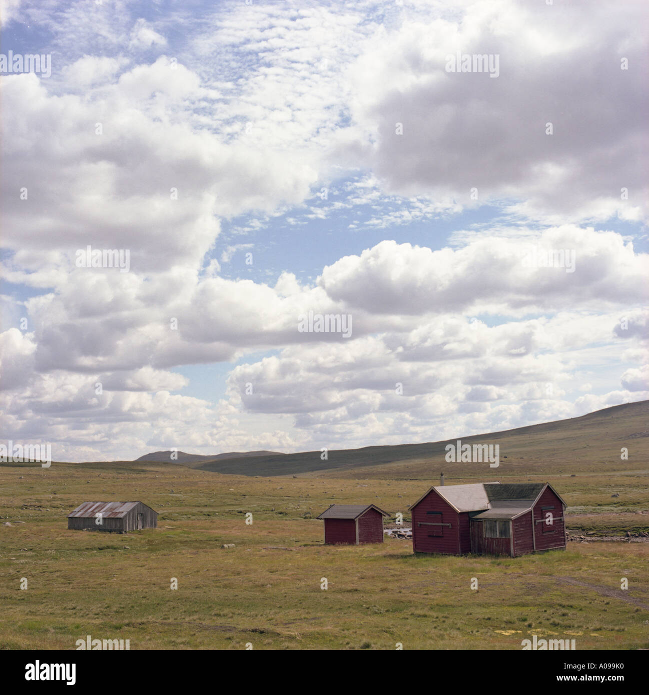Rural farm houses in the Hardangervidda national park during the summer ...