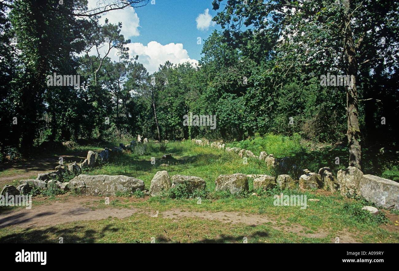 Quadrilateral In Nature