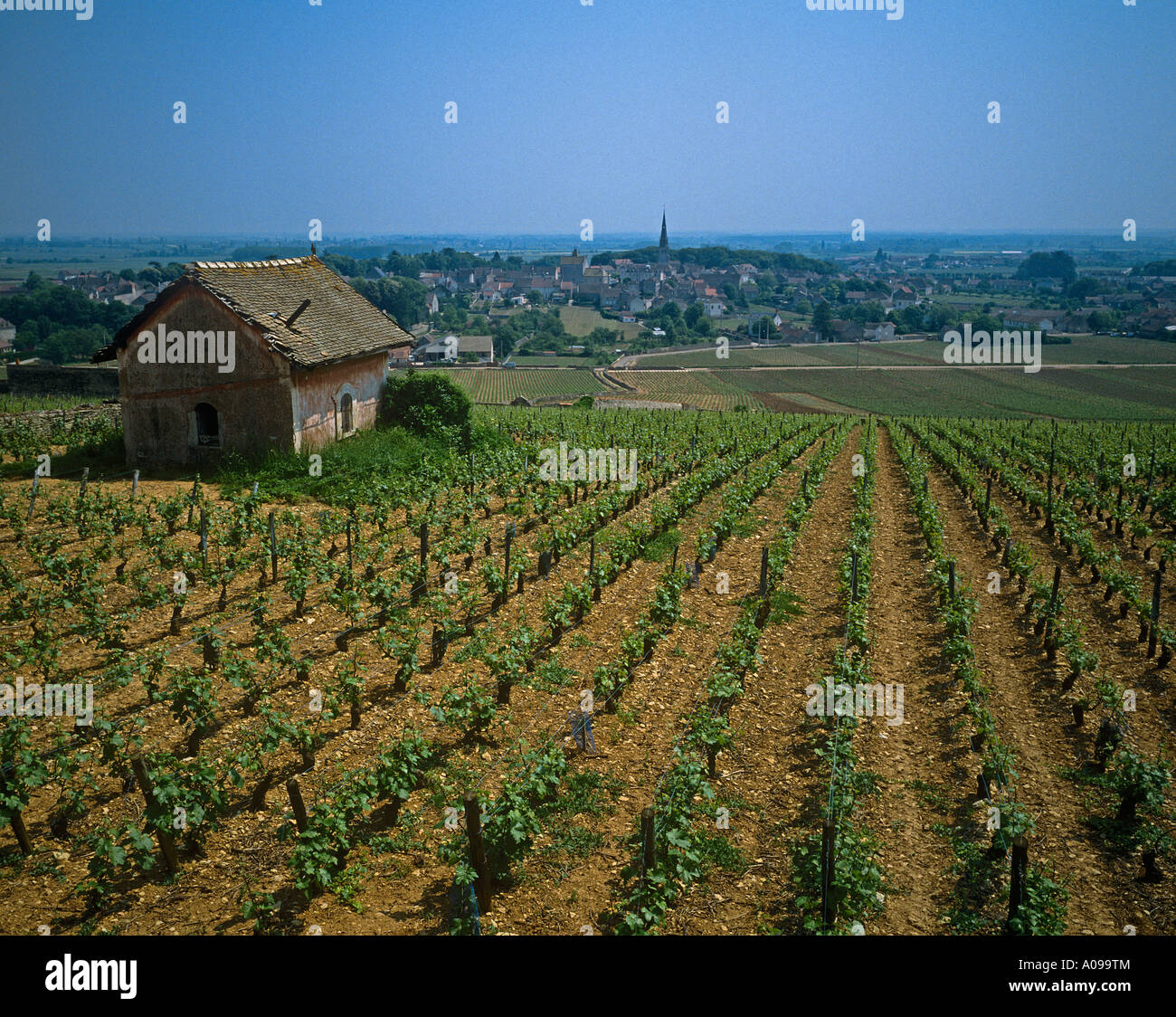 Meursault Village Stock Photos & Meursault Village Stock Images - Alamy