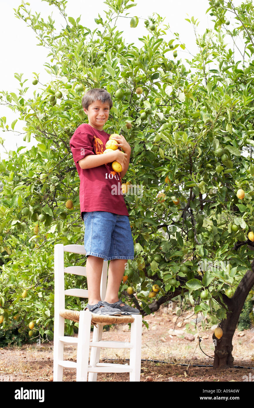 Boy Look Up At Tree High Resolution Stock Photography and Images - Alamy