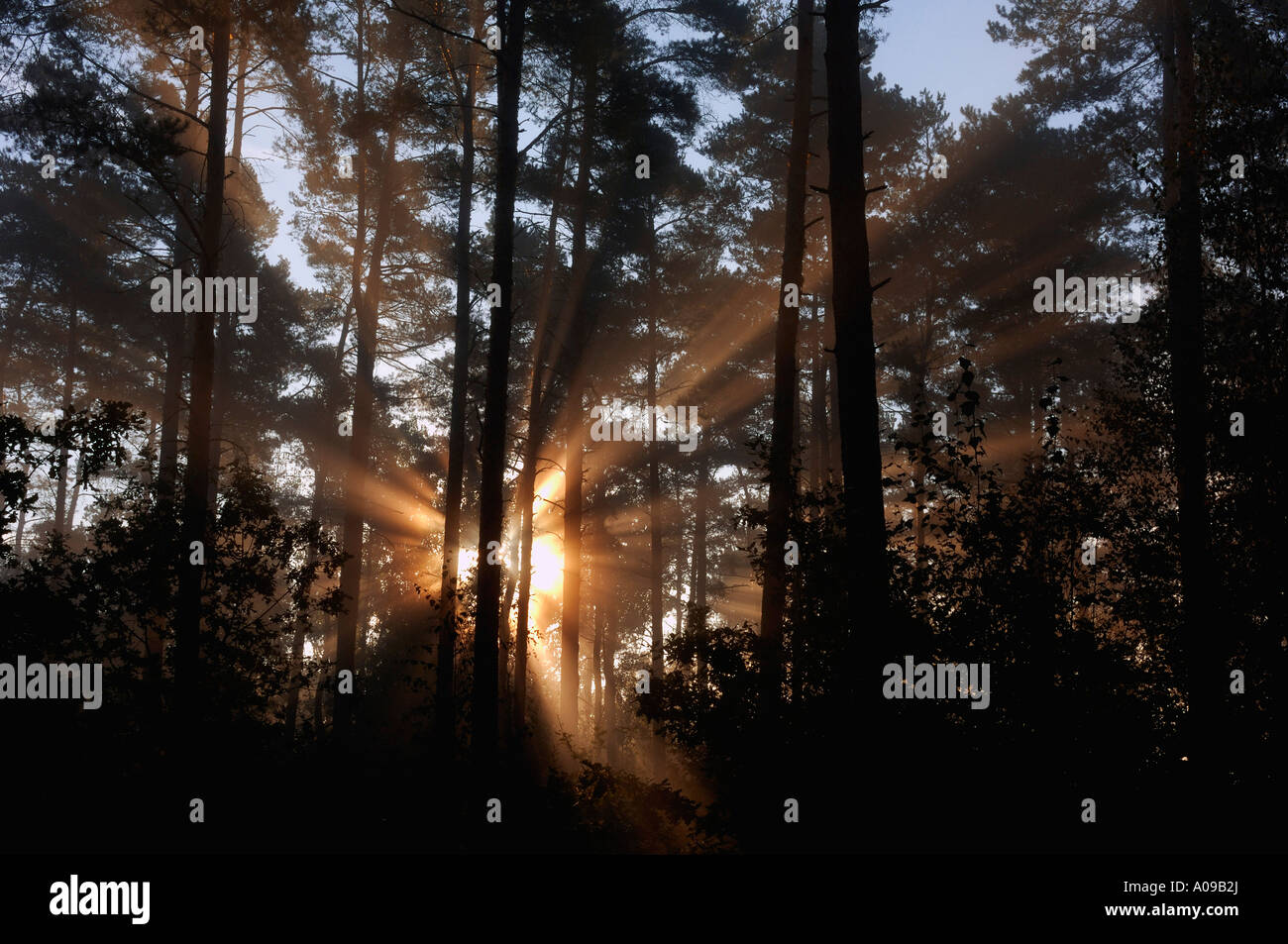 Sunbeams through the mist hi-res stock photography and images - Alamy