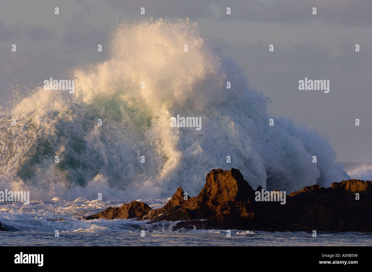 Wave Crashing on Reef, North Shore, Oahu, Hawaii, USA Stock Photo - Alamy