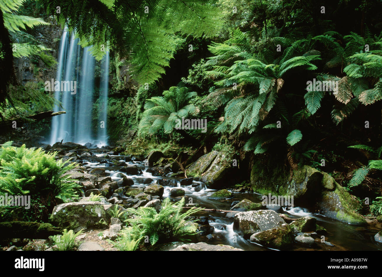 Hopetoun falls in otway national park hi-res stock photography and ...