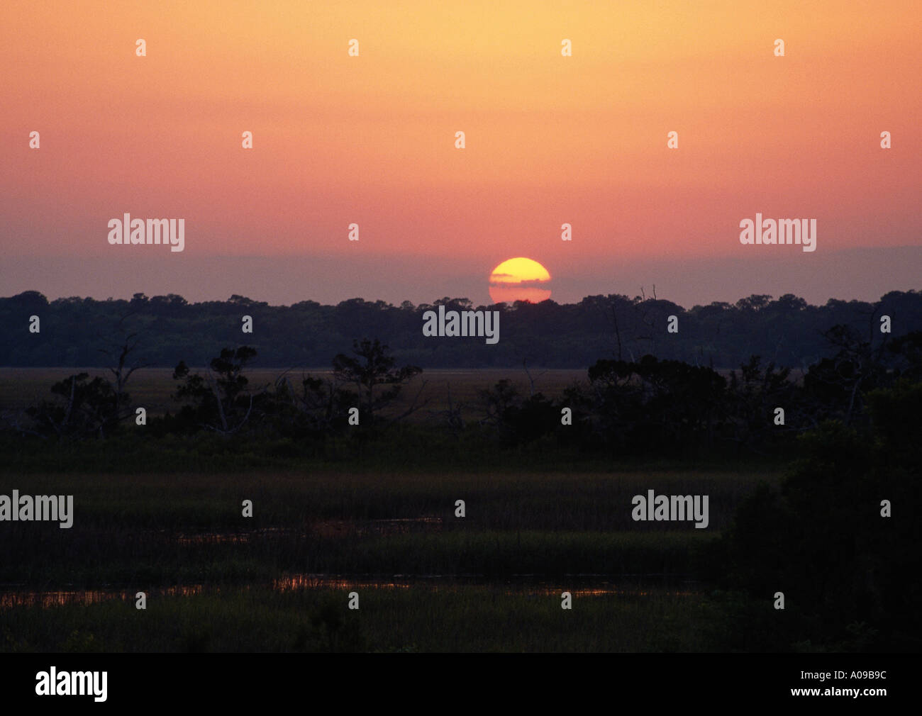 A serene skyscape at sunset with the orange sun dipping below a tree ...