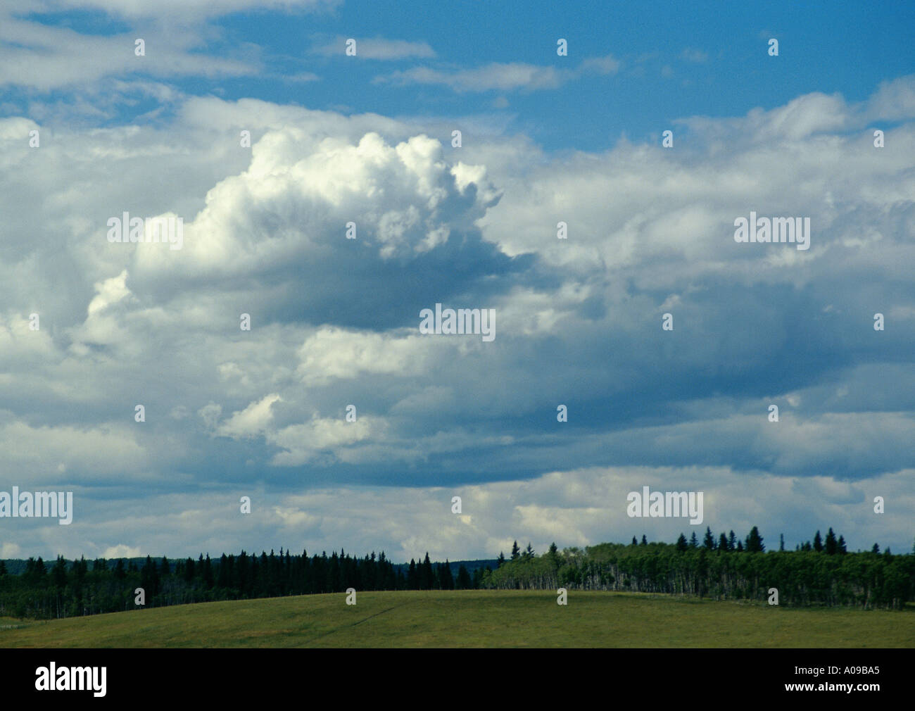 A scenic daytime skyscape with a puffy white cloud filled sky over a ...