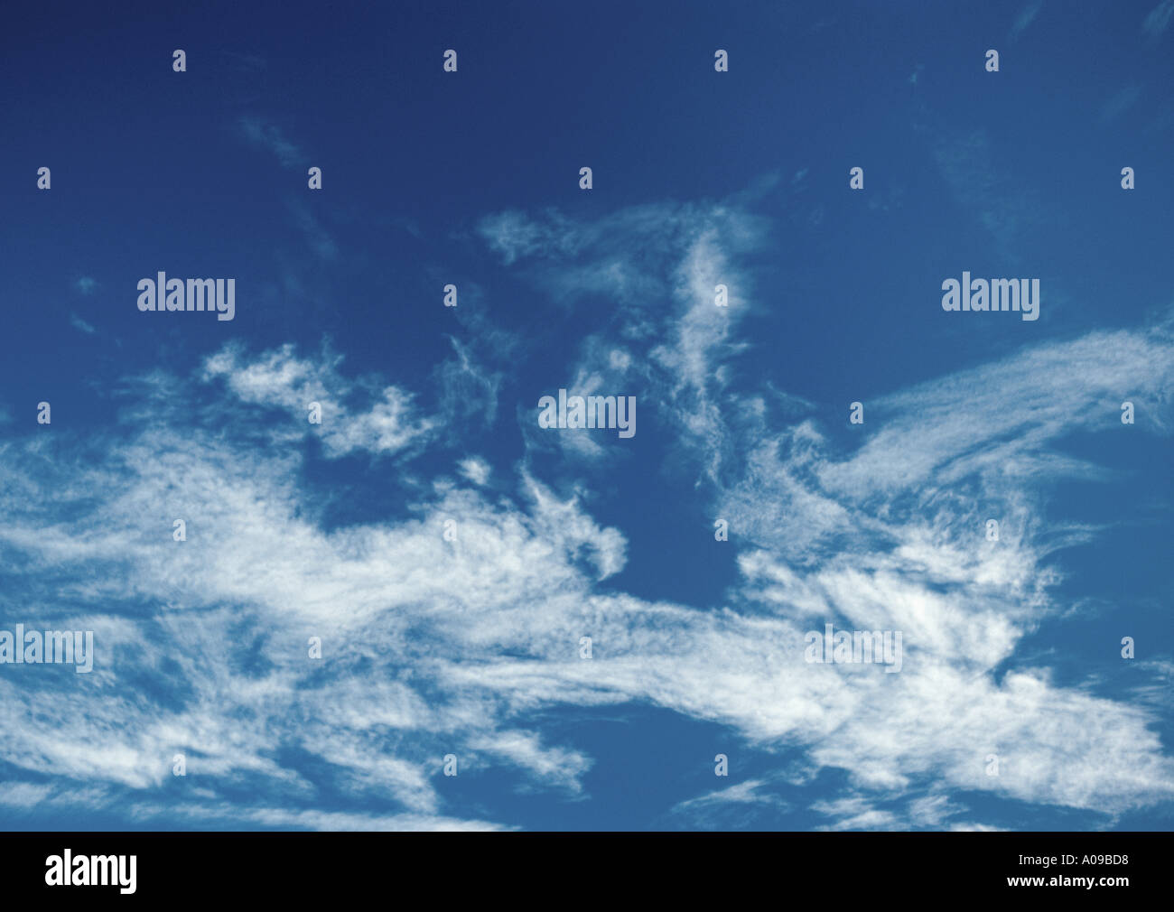 A bright blue daytime skyscape with a thin covering of white wispy ...
