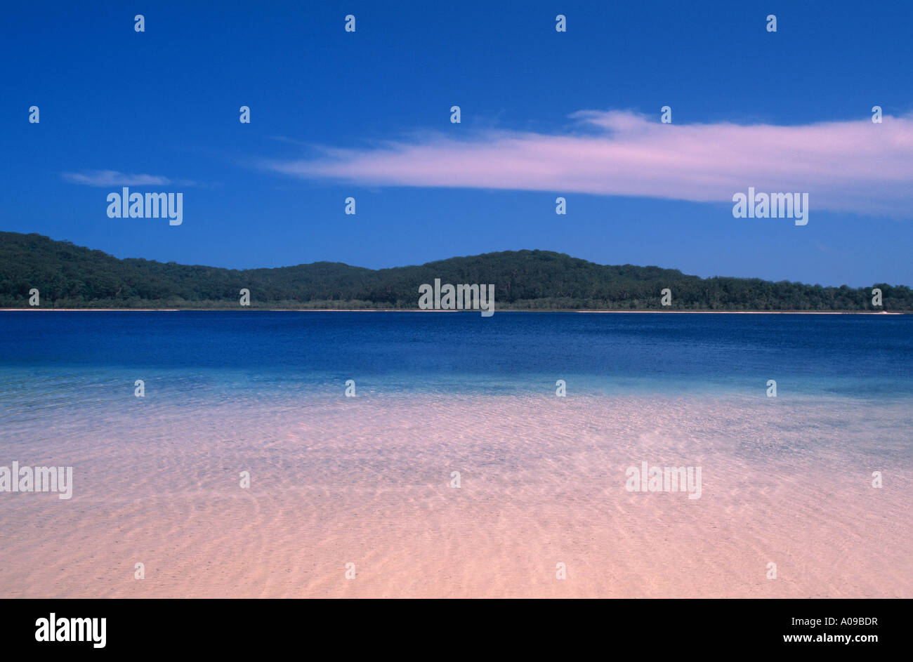 Lake Birrabeen, Australia, Queensland, Fraser Island Stock Photo - Alamy