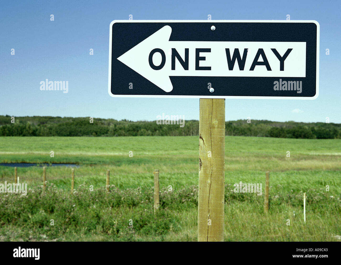 Rectangular ONE WAY directional road sign with arrow Stock Photo - Alamy