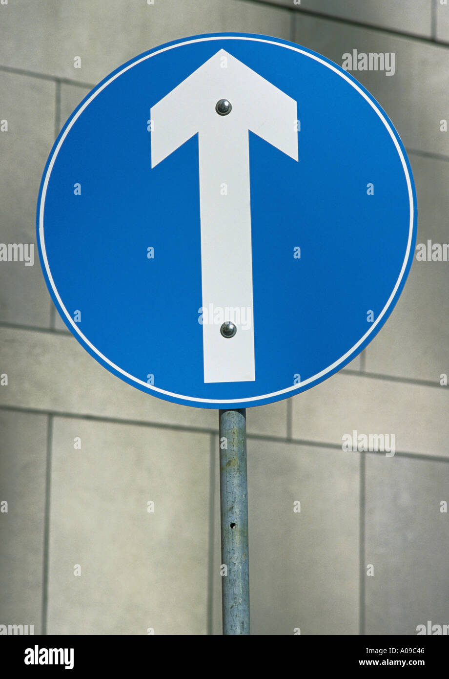 A blue and white circular ahead only directional road sign on a metal ...