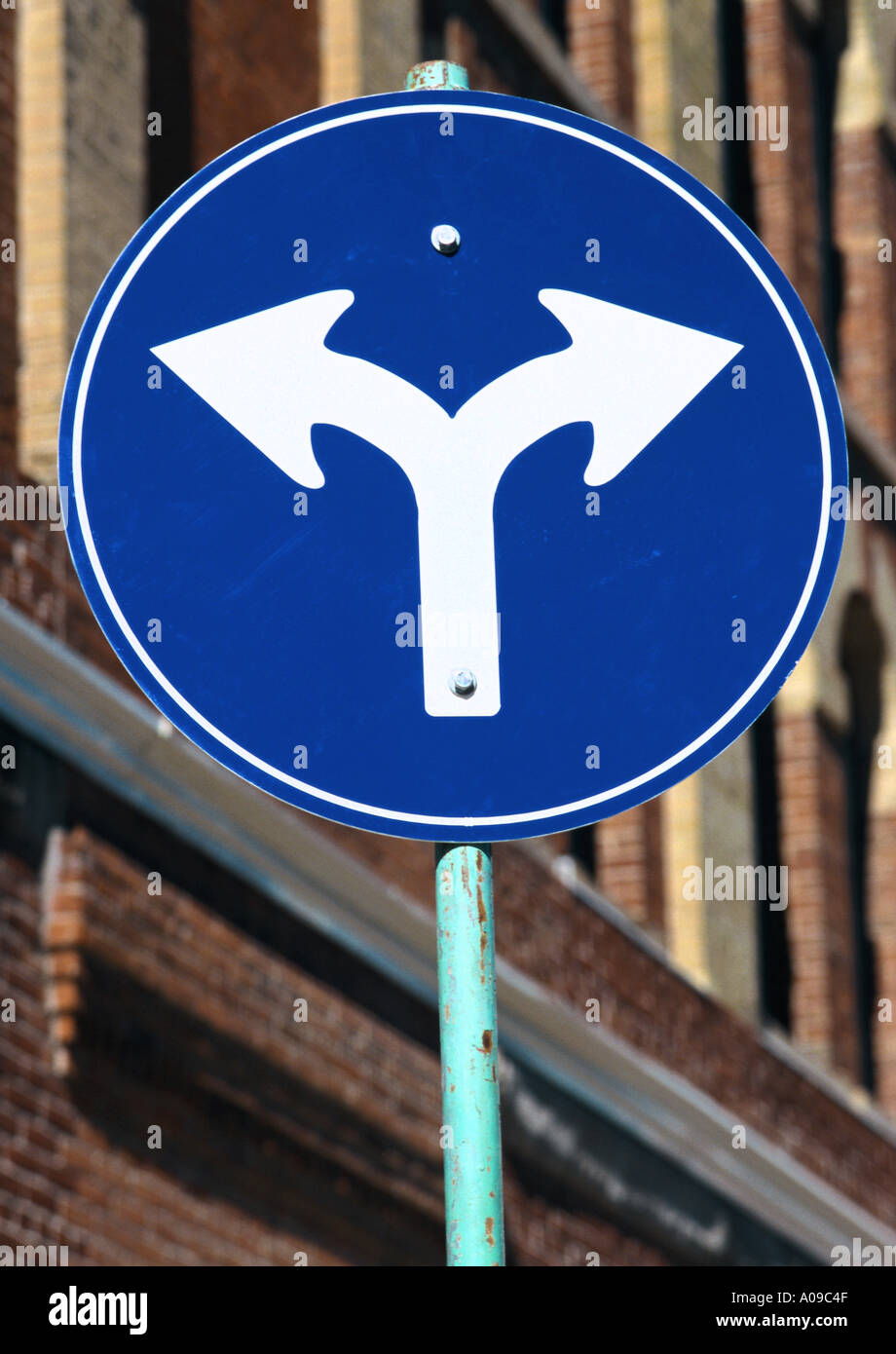 A blue and white circular left or right turn only directional road sign ...