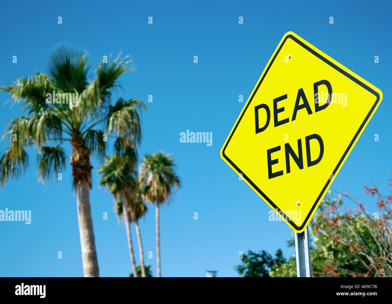 A black and yellow diamond shaped dead end road sign on a metal post ...