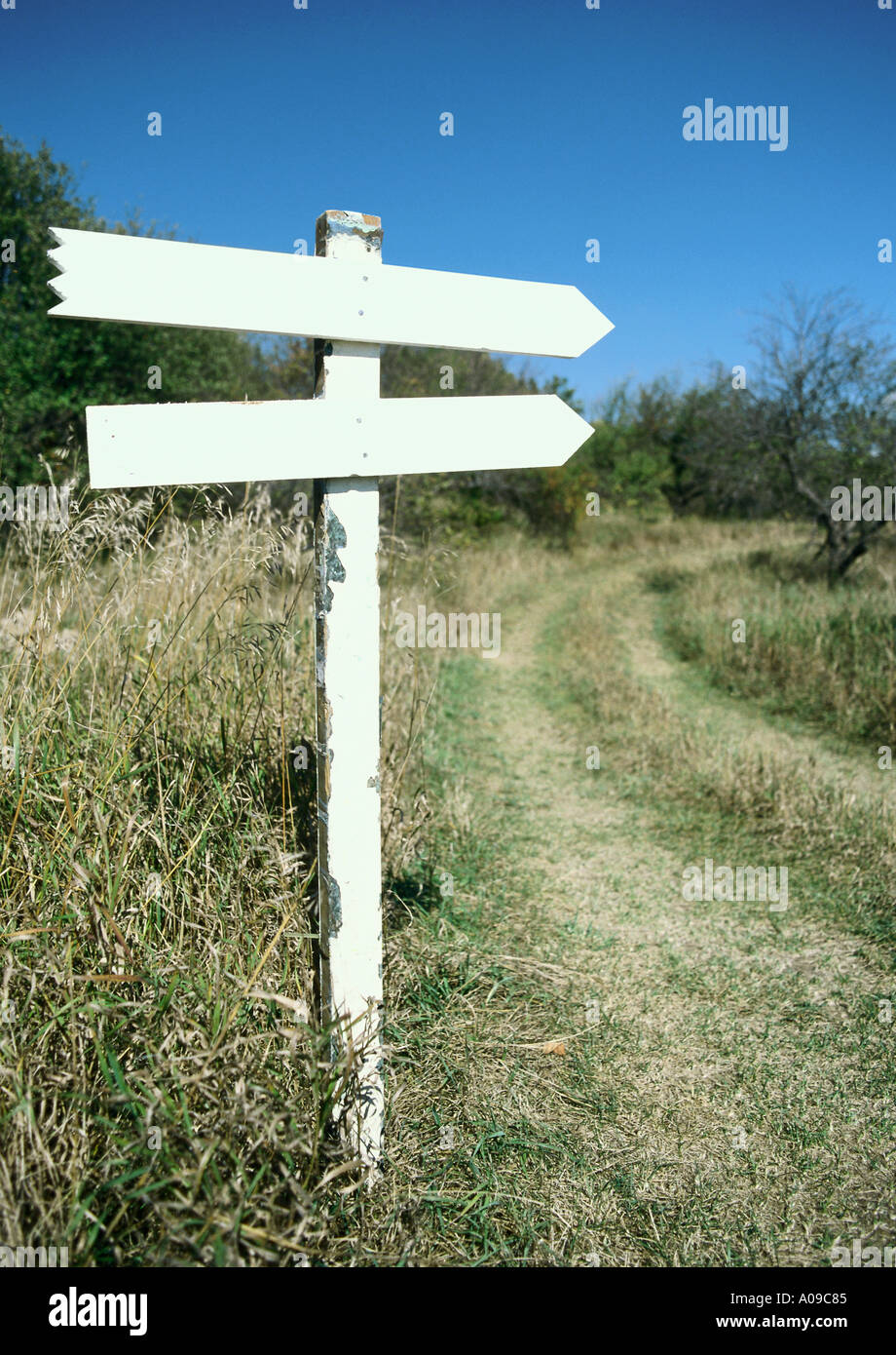 If13117 hi-res stock photography and images - Alamy