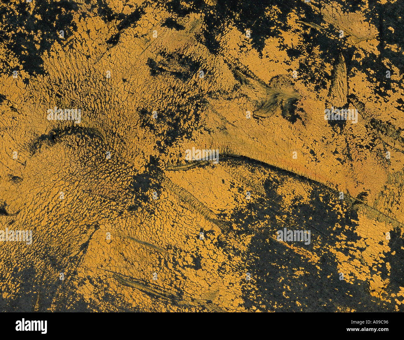 If07034 hi-res stock photography and images - Alamy