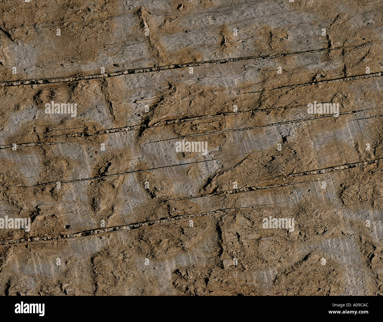 Gouged wall hi-res stock photography and images - Alamy