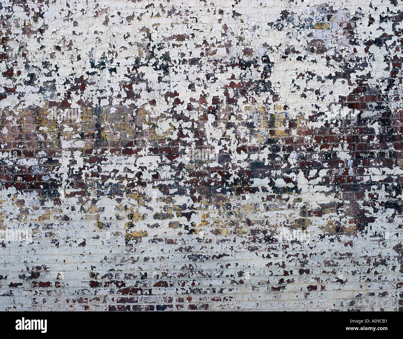 An aged and weathered brick wall with chipping flaking and peeling ...