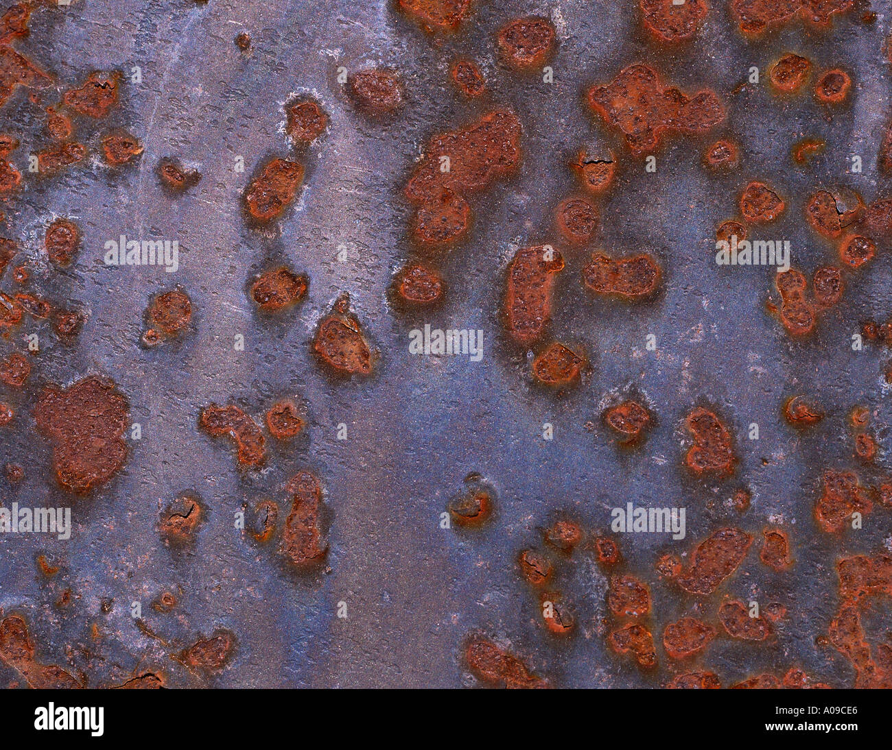 If07014 hi-res stock photography and images - Alamy