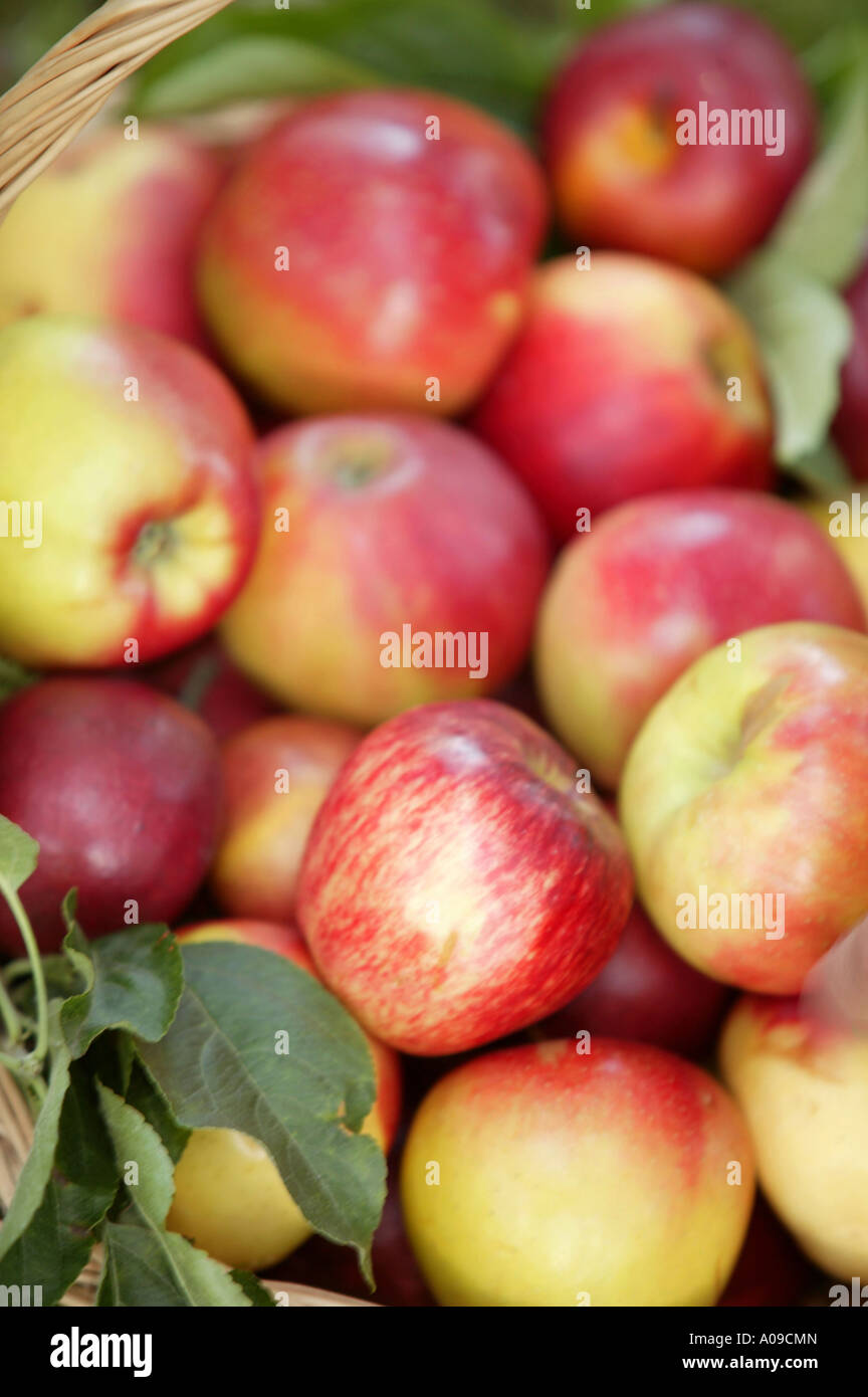 äpfel in einem korb hi-res stock photography and images - Alamy